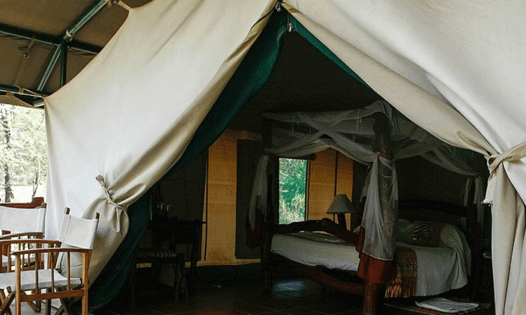 MBUZI MAWE SERENA LODGE - Untouched Wilderness Trips MBUZI MAWE SERENA LODGE - Untouched Wilderness Trips