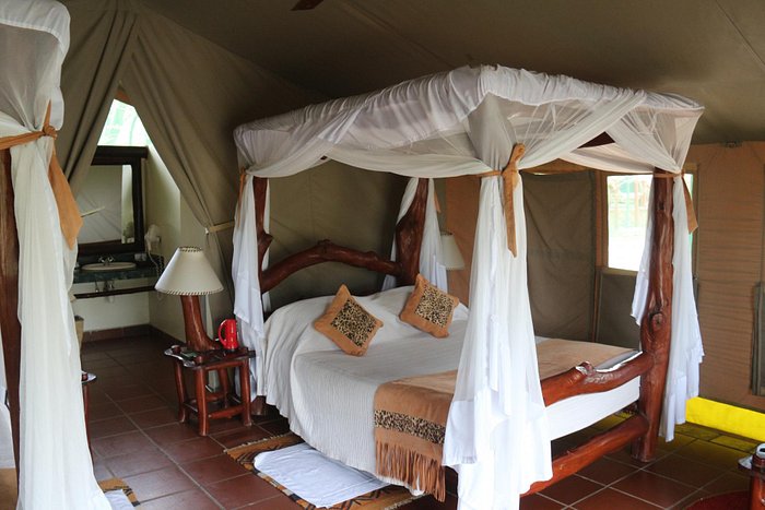 MBUZI MAWE SERENA LODGE - Untouched Wilderness Trips MBUZI MAWE SERENA LODGE - Untouched Wilderness Trips